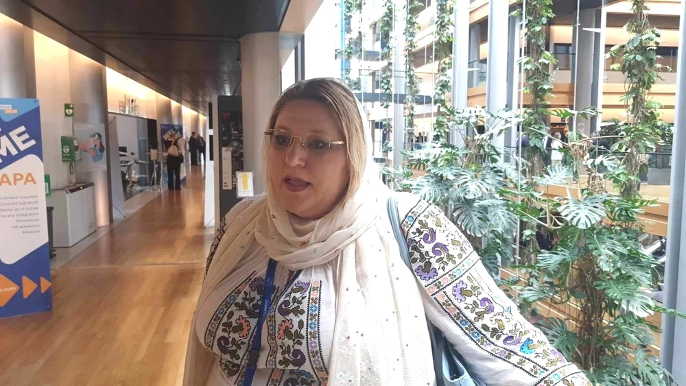 Alina Mungiu-Pippidi: Bravó, Alkotmánybíróság! Avagy hogyan múlnak ki ...